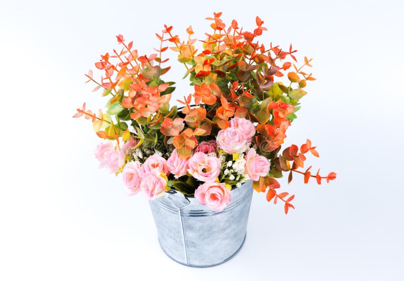 Rose Pink Plastic in a Zinc Bucket,White Background Stock Photo - Image ...