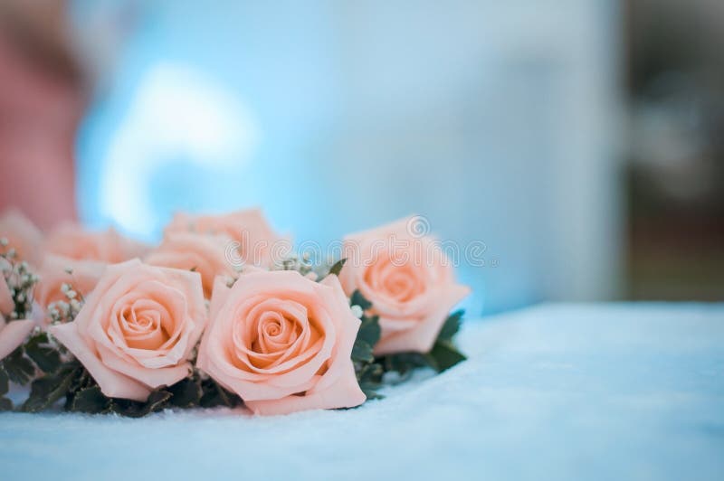 Rose placed on the desk stock photo. Image of vases, table - 81189124