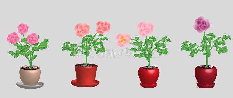 Rose pots illustration stock vector. Illustration of design - 302364775