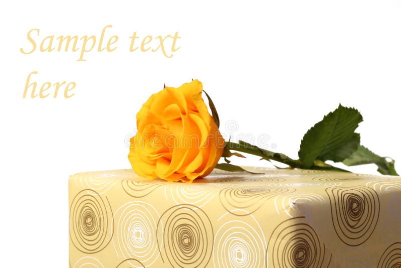 Rose on a present box stock photo. Image of stem, ribbon - 21923096