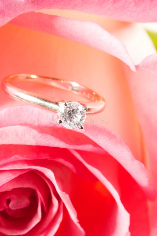 Rose Present with a Surprise Stock Image - Image of diamond, petals ...
