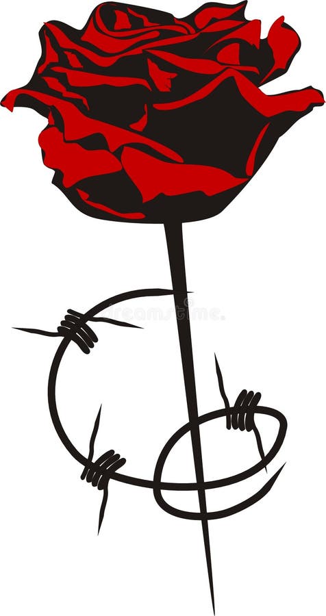 Rose prickle stock vector. Illustration of graphic, vector - 2807885