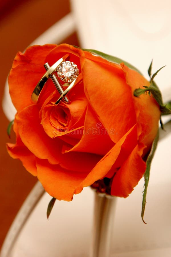 Rose Ring stock photo. Image of rose, petals, diamond - 1382468