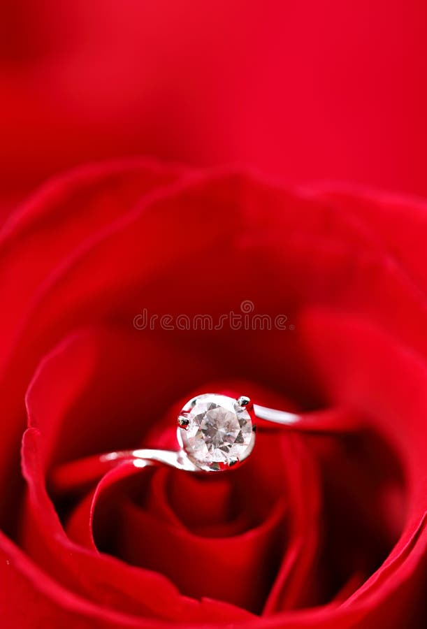 Red Rose with Diamond Ring Closeup Stock Photo - Image of fragile, gold ...