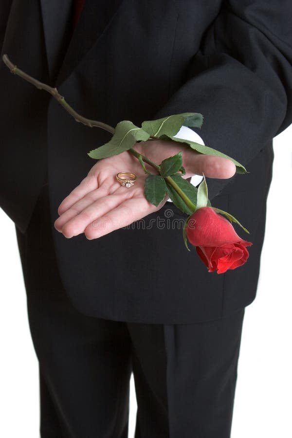 Rose and Ring stock photo. Image of wedding, single, romance - 2364912