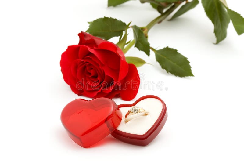 Rose and ring stock photo. Image of isolated, engagement - 9359166
