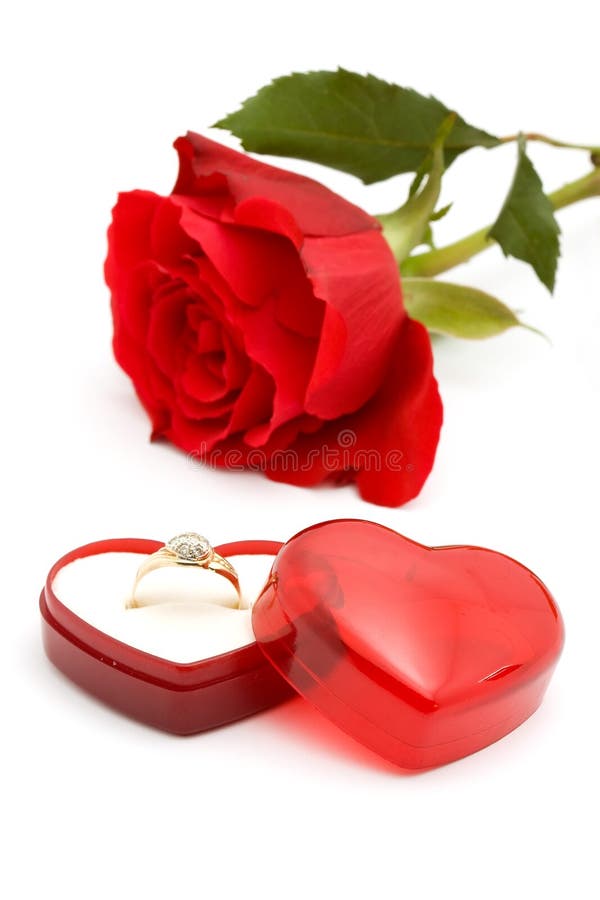 Rose and ring stock photo. Image of wedding, beauty, proposal - 9360388