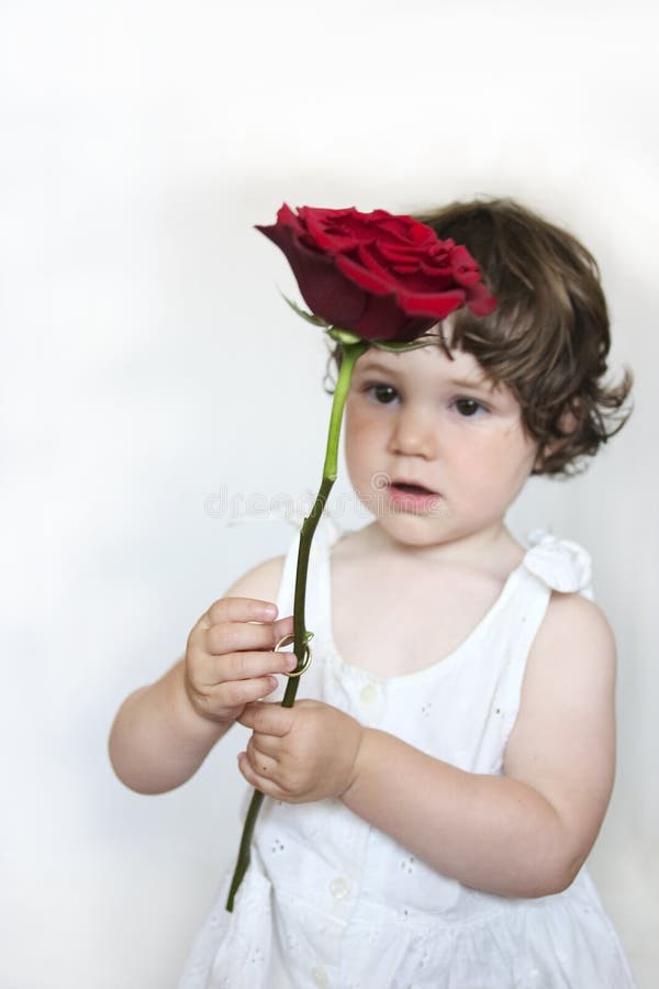 Rose and Ring stock image. Image of love, roses, little - 955669