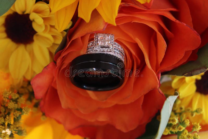 Rose with rings stock image. Image of produce, orange - 217319903