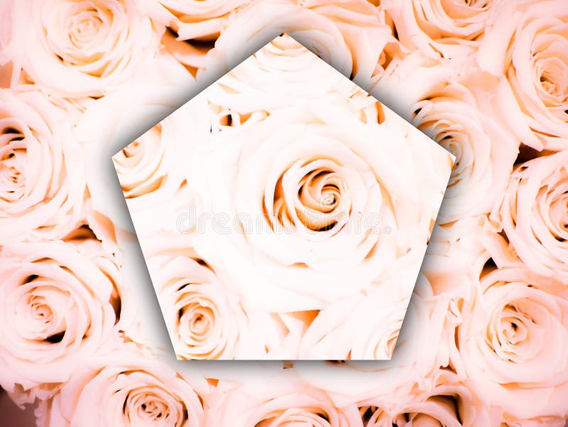 Rose Roses Cutouts Abstract Art Stock Photo - Image of cutouts, roses ...