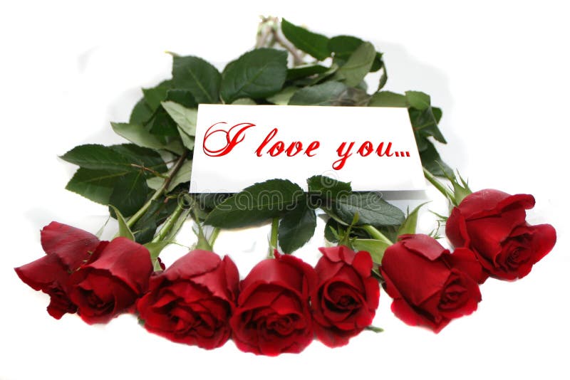 Rose Rosse Con La Nota Ti Amo Immagine Stock - Immagine di verde, rosa ...