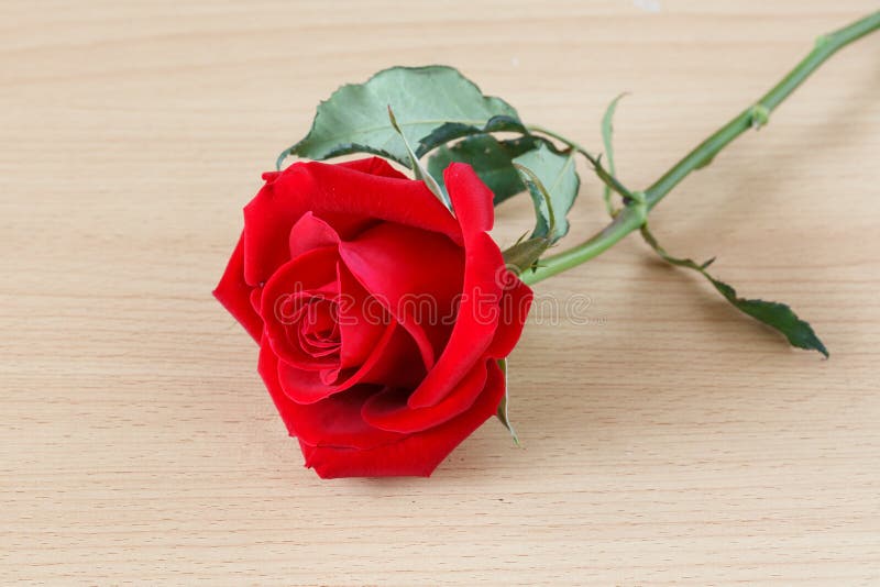Rose Rouge Sur La Table En Bois Photo stock - Image du panneau ...