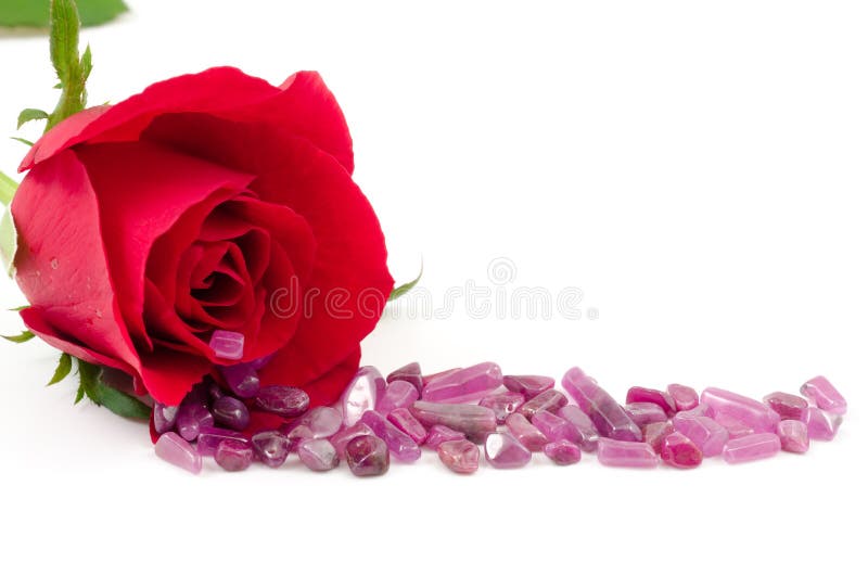 Rose and ruby stock photo. Image of flower, beautiful - 27717390