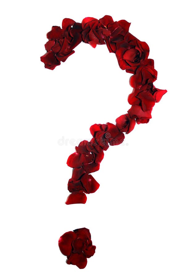 Question mark, rose petals stock photo. Image of logo - 9506238