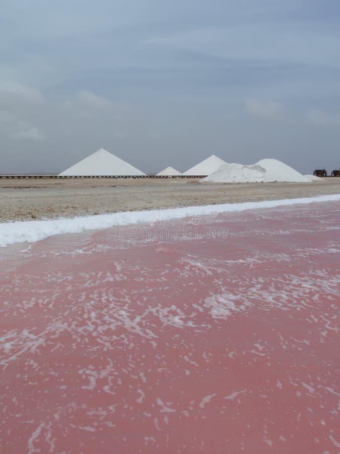 Rose salt mining lake stock photo. Image of pattern, famous - 68780654