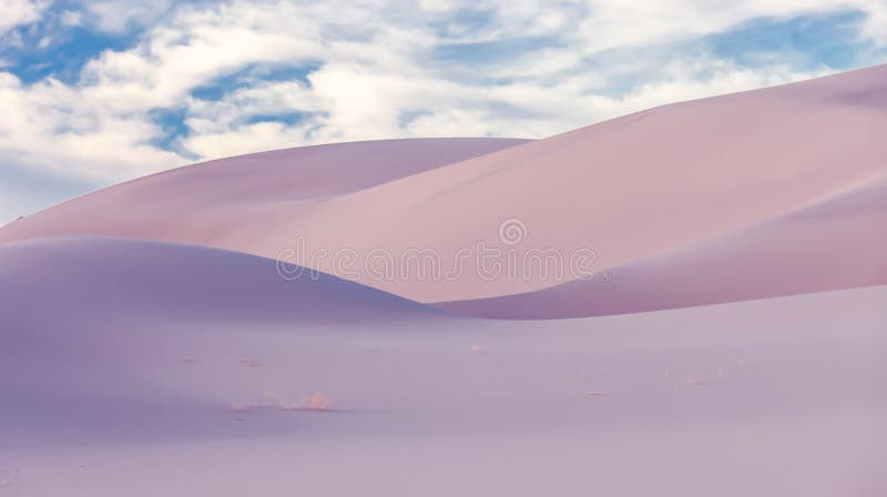 Rose sand dune stock image. Image of sand, desert, rose - 40354657