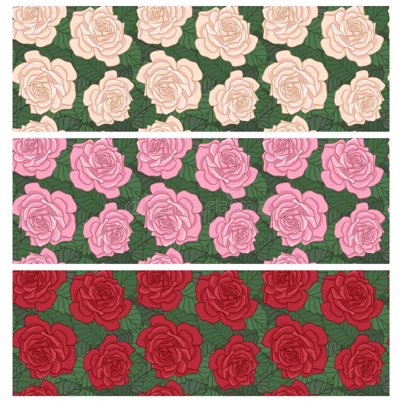 Rose seamless pattern set stock vector. Illustration of copy - 47444843