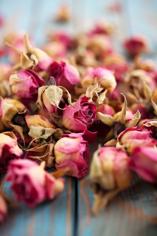Rose secche fotografia stock. Immagine di isolato, fiori - 25948202