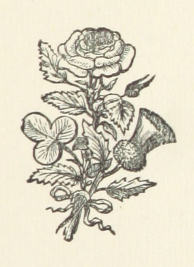 British Library Digitised Image From Page 289 Of "Rose, Shamrock, And ...