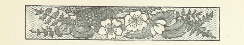 British Library Digitised Image From Page 279 Of "Rose, Shamrock, And ...