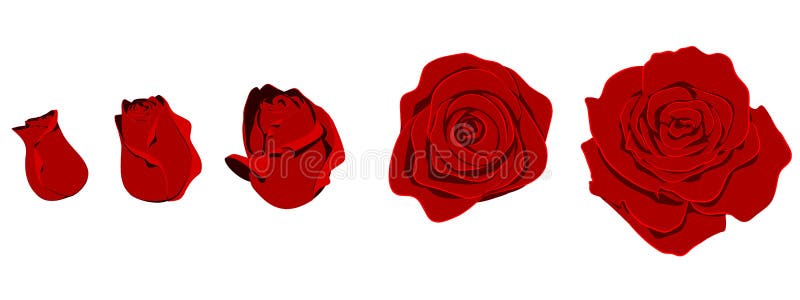 Rose Shape stock vector. Illustration of layer, easy - 64323428