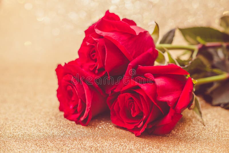 Rose on a Shiny Gold Background Stock Image - Image of frame, flower ...