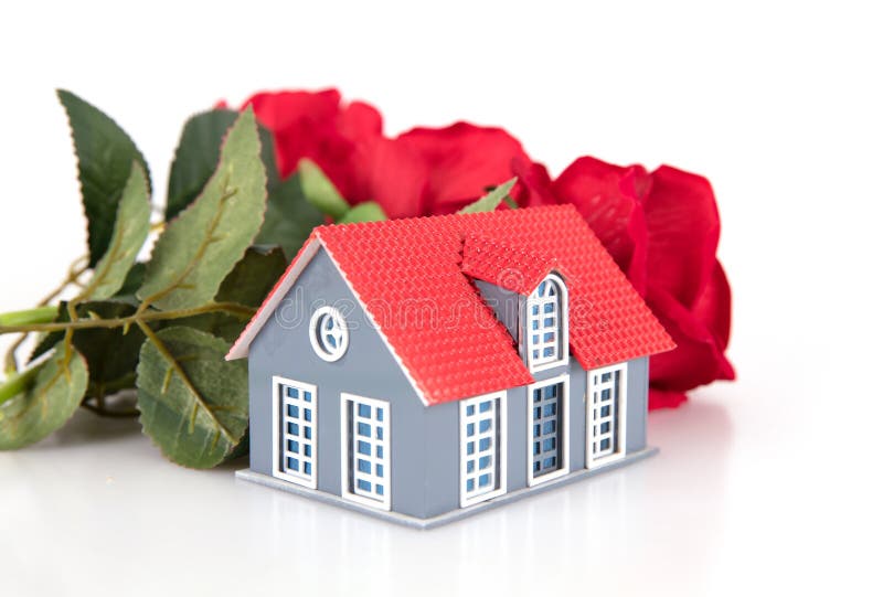 Rose and Small House Model on White Background Stock Image - Image of ...