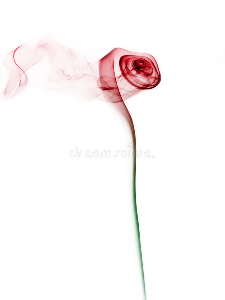 521 Rose Ghost Tattoos Stock Photos - Free & Royalty-Free Stock Photos ...