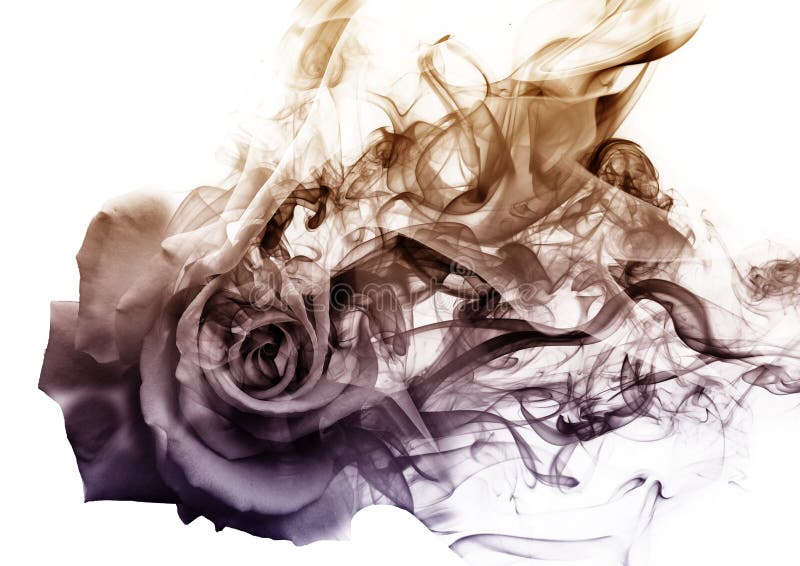 Smoke Rose from. the Smoke Rose from. Stock Photo - Image of fire ...