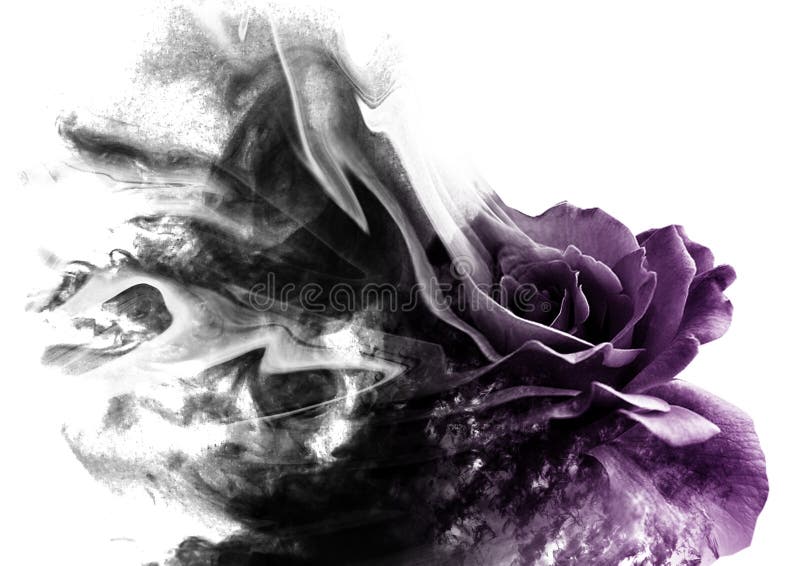 Smoke Rose from. the Smoke Rose from Stock Photo - Image of fire, flora ...