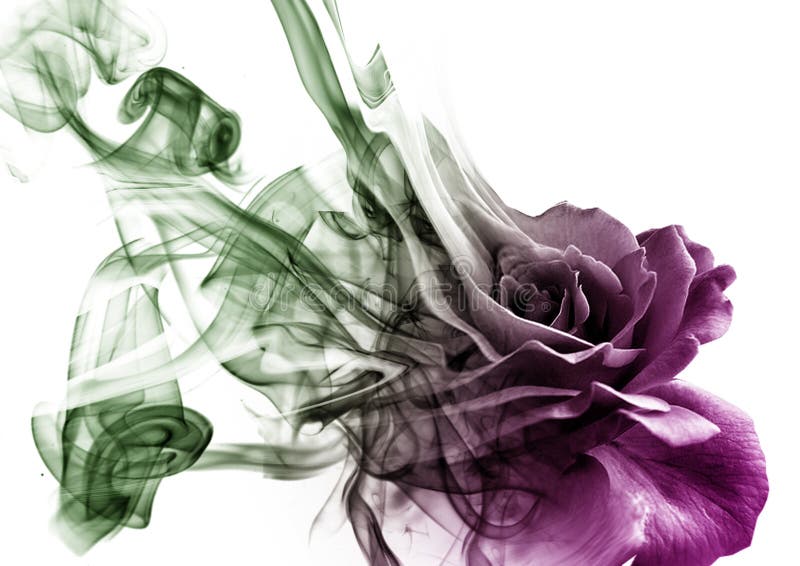 Smoke Rose from. the Smoke Rose from. Stock Photo - Image of fire ...