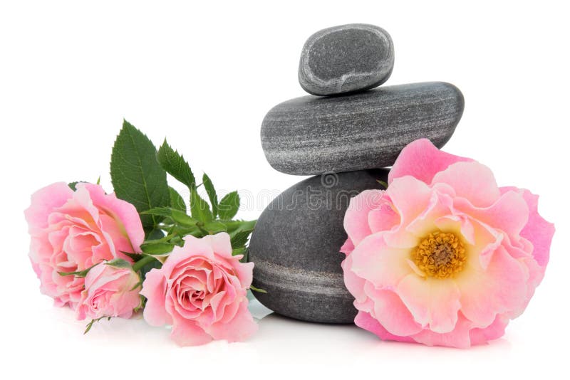 Rose Spa Beauty stock photo. Image of sabi, quiet, beauty - 26503082