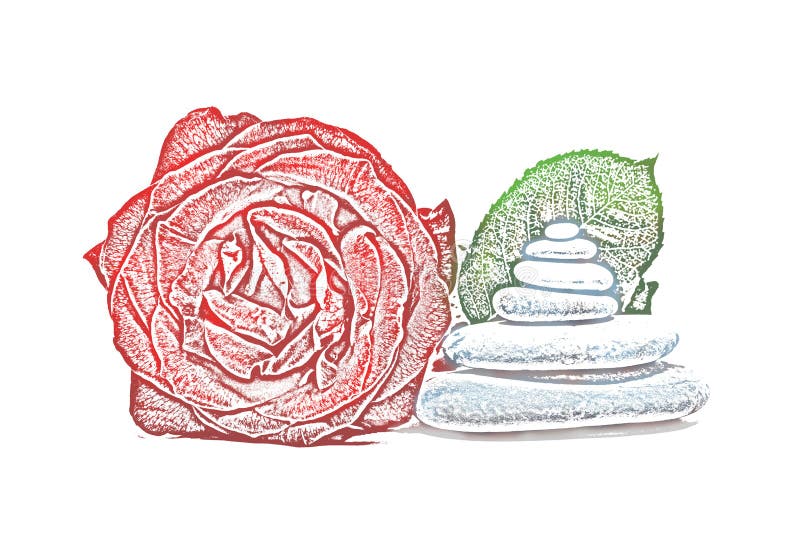 Rose and spa stones draw stock illustration. Illustration of petals ...