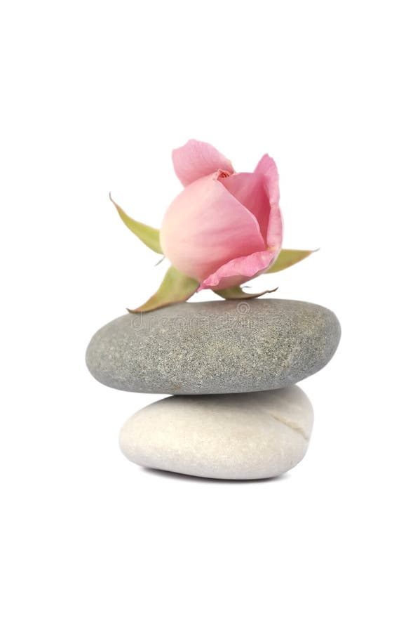 SPA elements stock photo. Image of bath, retreat, earth - 1394708