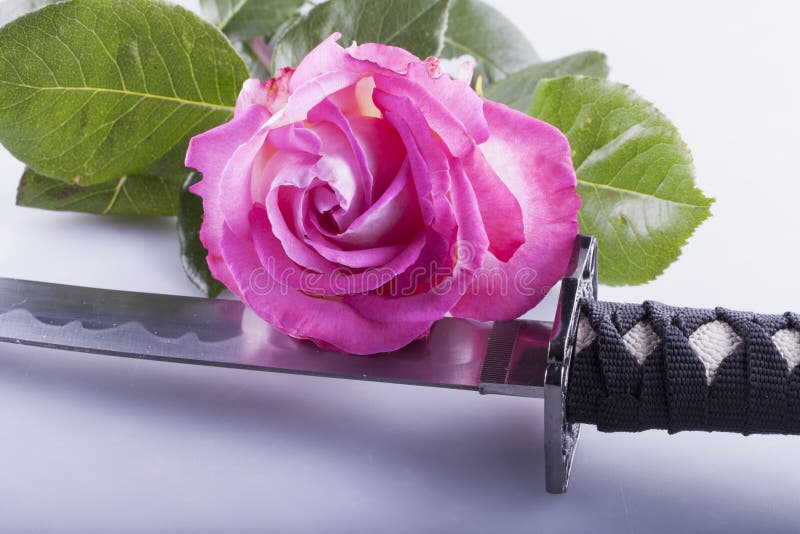 Rose and sword stock photo. Image of floral, love, flowers - 40745922