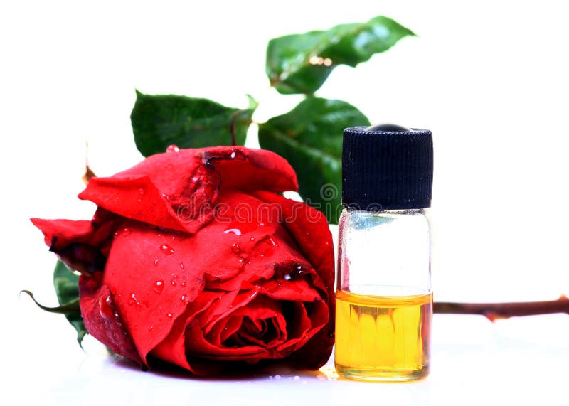 Rose syrup stock image. Image of fresh, treatment, bloom - 17904157