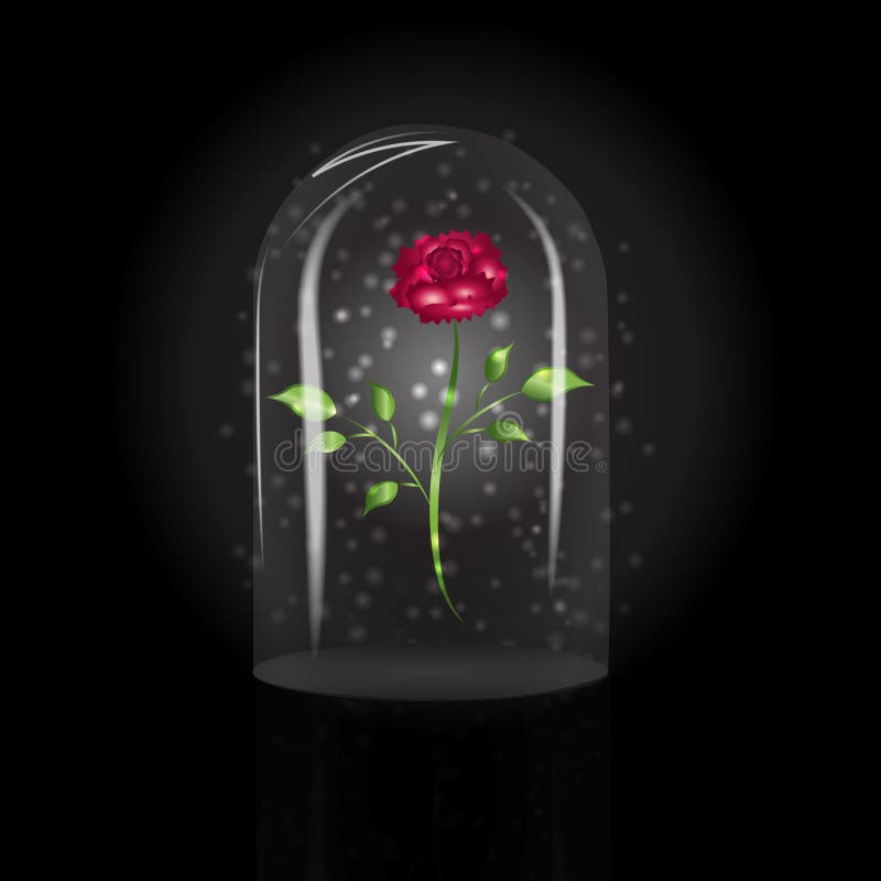 Rose under a glass dome. stock vector. Illustration of drawing - 66608557