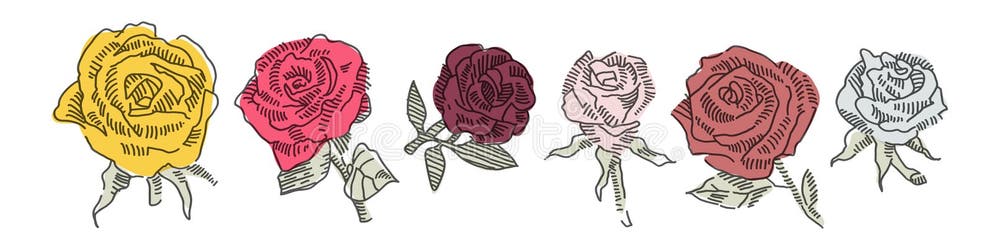 Rose Vector Doodle in Different Colors. Vector Roses Doodle Set Stock ...