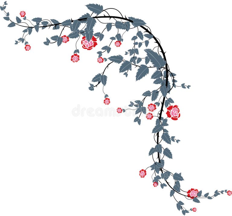 Rose vines-1 stock vector. Illustration of nature, love - 10763136
