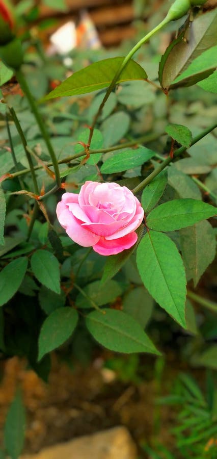 Technical Wallpaper 4k Stock Photos - Free & Royalty-Free Stock Photos ...