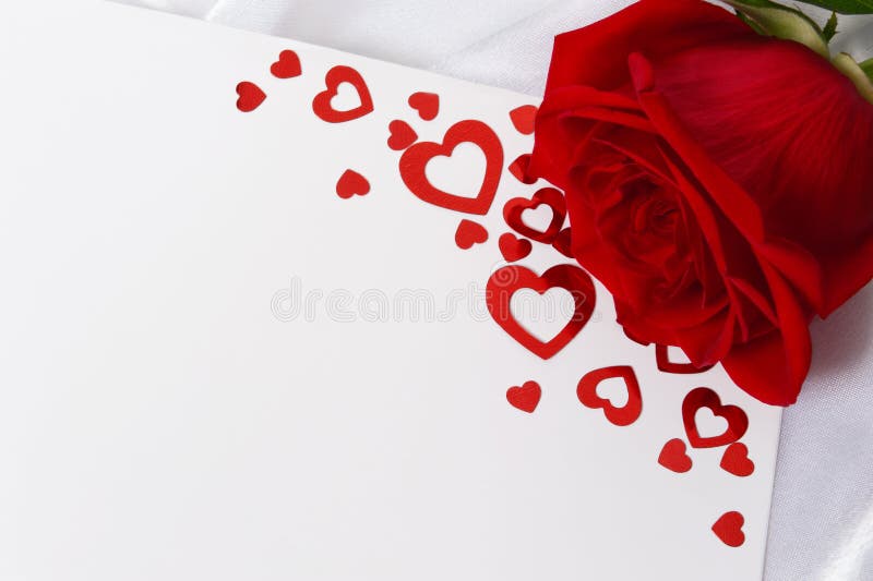 Rose on a white background stock image. Image of horizontal - 22770105