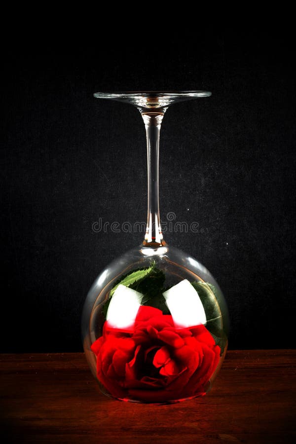 Rose stock photo. Image of emotion, literature, dating - 86037832