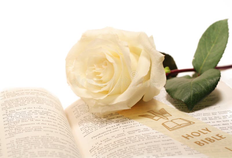 3,523 Flores Y Biblia Fotos de stock - Fotos libres de regalías de ...