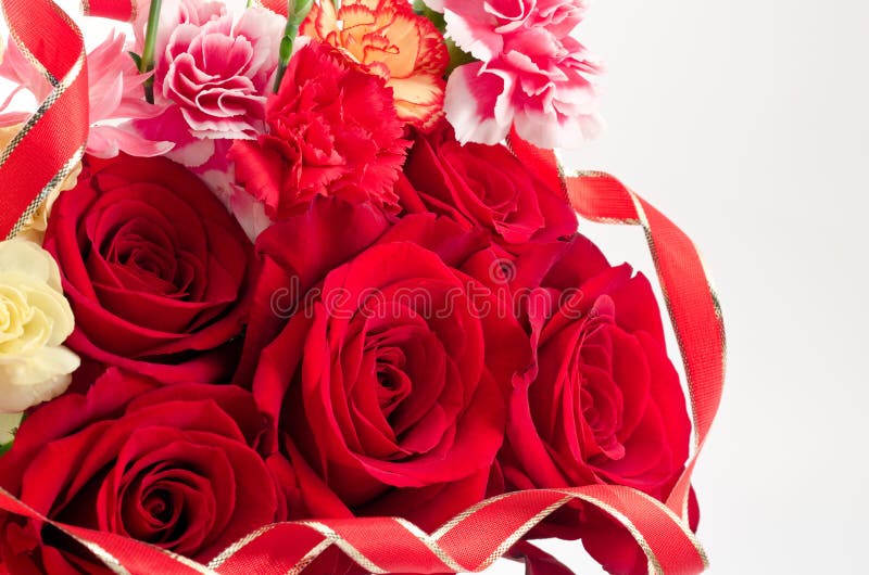 Rose y clavel foto de archivo. Imagen de brillante, flor - 24441738