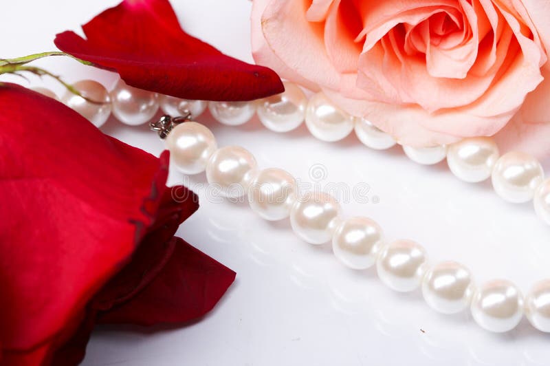 Shell Del Mar Con Perlas Y Una Rosa Imagen de archivo - Imagen de rosa ...