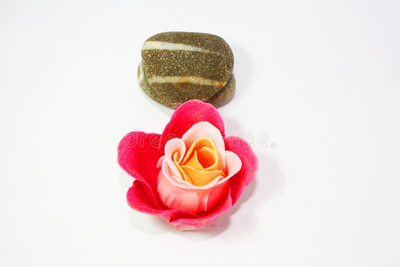 Rose Zen Spa stock photo. Image of recreation, healthcare - 13503584