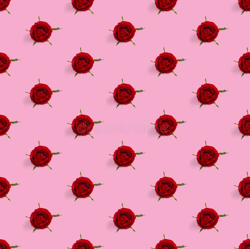 Rosebud Seamless Pattern. Head of Rose Bloom Isolated on Pink Pattern ...