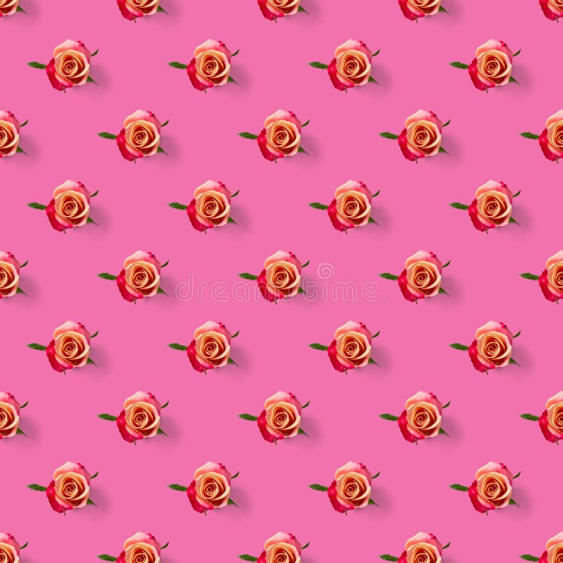 Rosebud Seamless Pattern. Head of Rose Bloom Isolated on Pink Pattern ...
