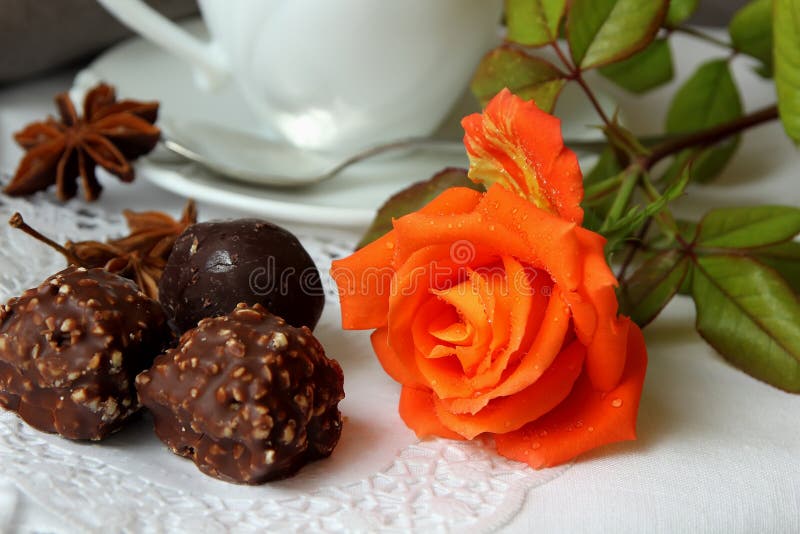 Rosebud and sweets stock photo. Image of petals, brewed - 45693114