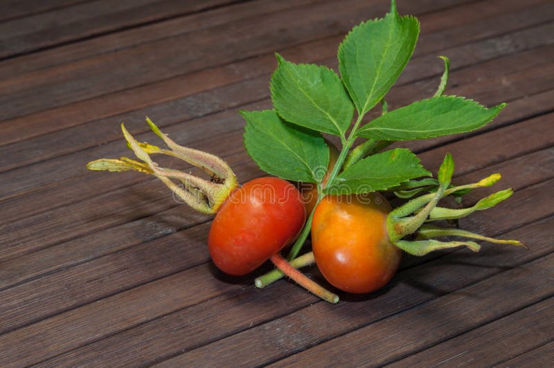 Rosehip stock image. Image of herbal, brown, herb, petal - 59780625